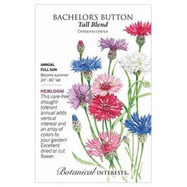 Botanical Interests Tall Blend Bachelor's Button Seeds