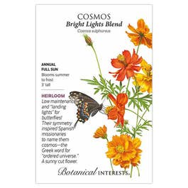 Botanical Interests Bright Lights Blend Cosmos Seeds