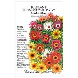 Botanical Interests Sparkle Blend Iceplant (Livingstone Daisy) Seeds