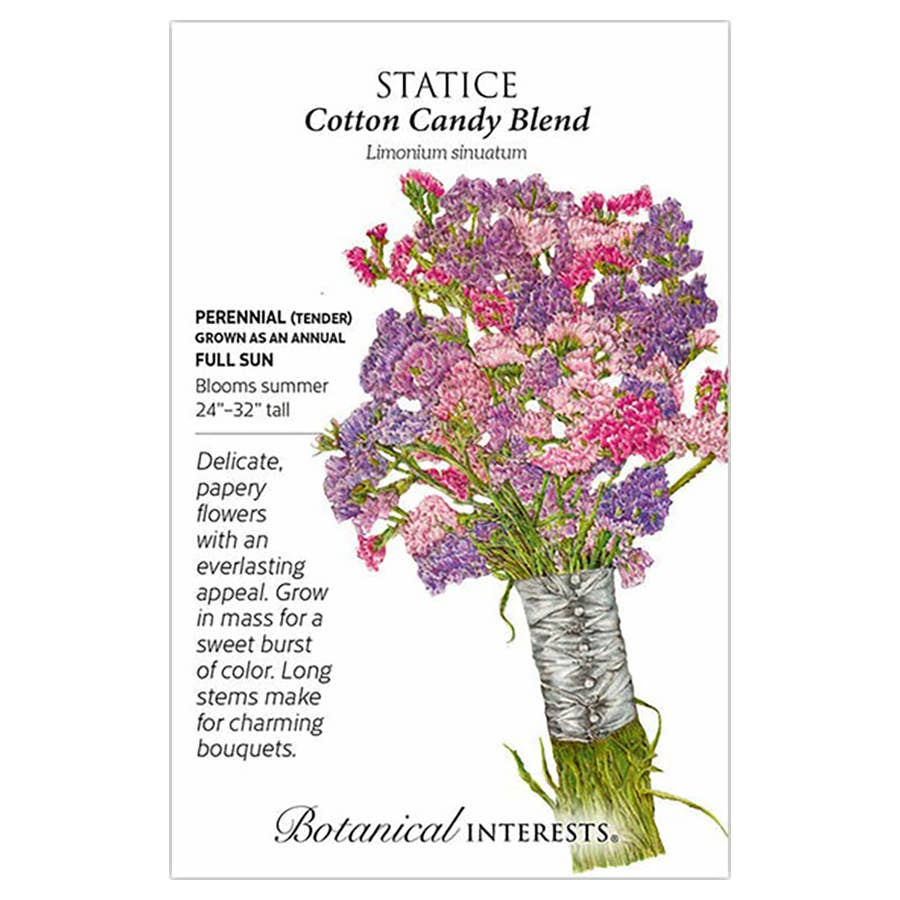 Botanical Interests Cotton Candy Blend Statice Seeds