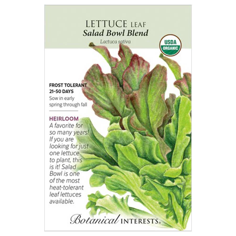 Botanical Interests Salad Bowl Blend Leaf Lettuce Seeds