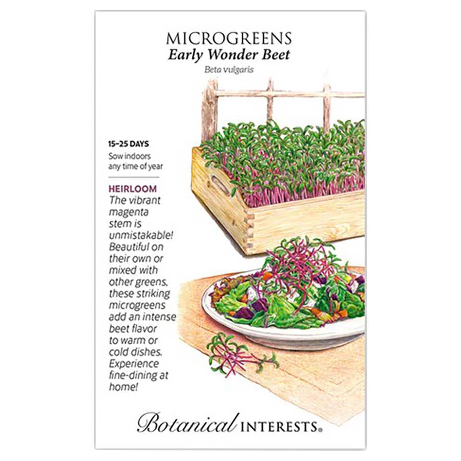 Botanical Interests Early Wonder Beet Microgreens Seeds