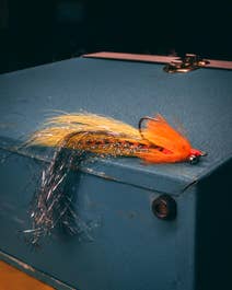 Dan Blanton's Flashtail Whistler
