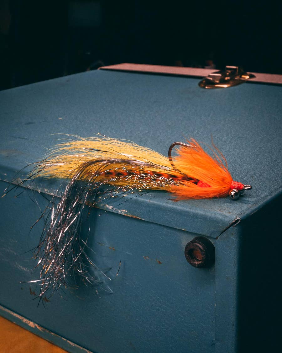 Dan Blanton's Flashtail Whistler