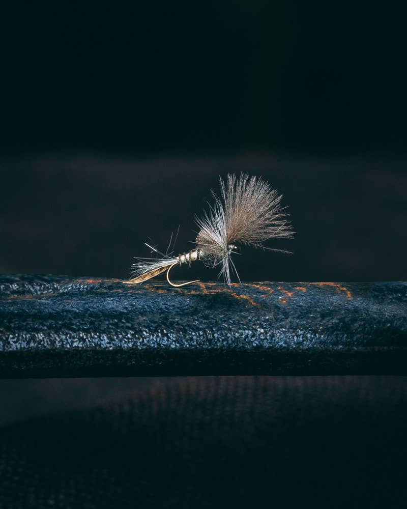 Page 2 | Rene Harrop Fly Collection - The Fly Project