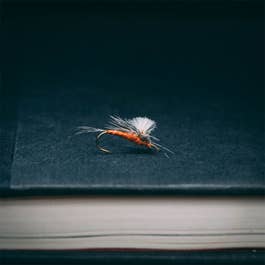 Rene Harrop's CDC Para Spinner - Hendrickson