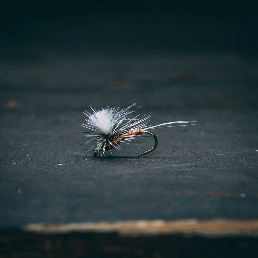 Rene Harrop's CDC Para Spinner - Pink Albert