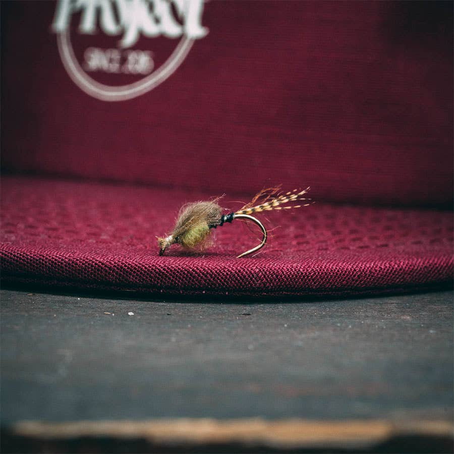 Rene Harrop's Captive Dun - Green Drake