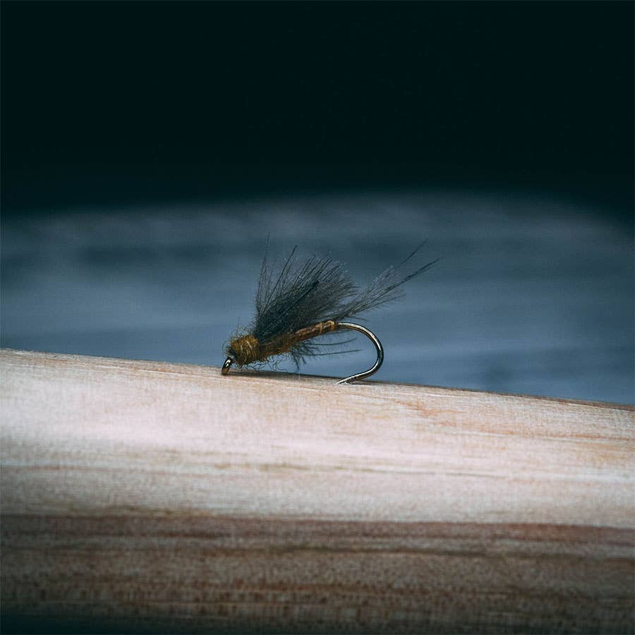 Rene Harrop's CDC Biot Dun - Flavilinea