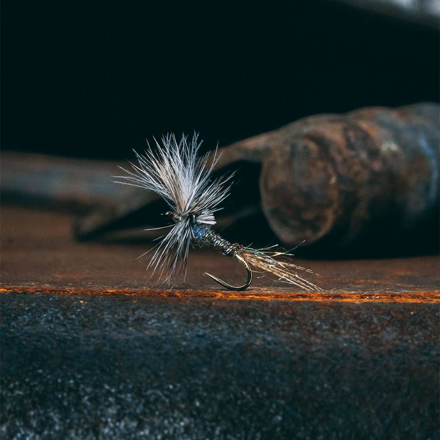 Rene Harrop's D&D Cripple - Callibaetis