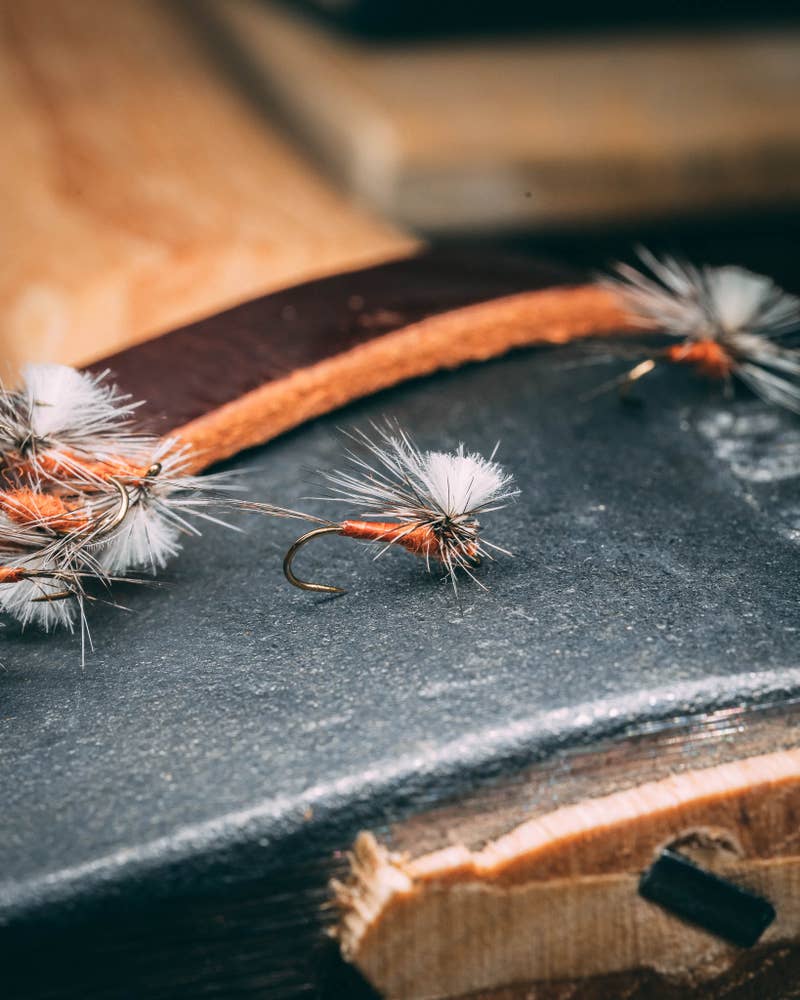 Rene Harrop's CDC Para Spinner - Rusty