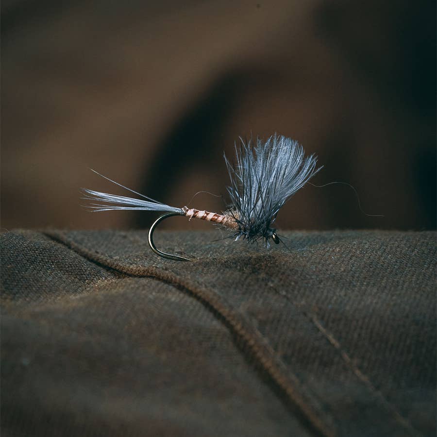 Rene Harrop's Hendrickson CDC Thorax