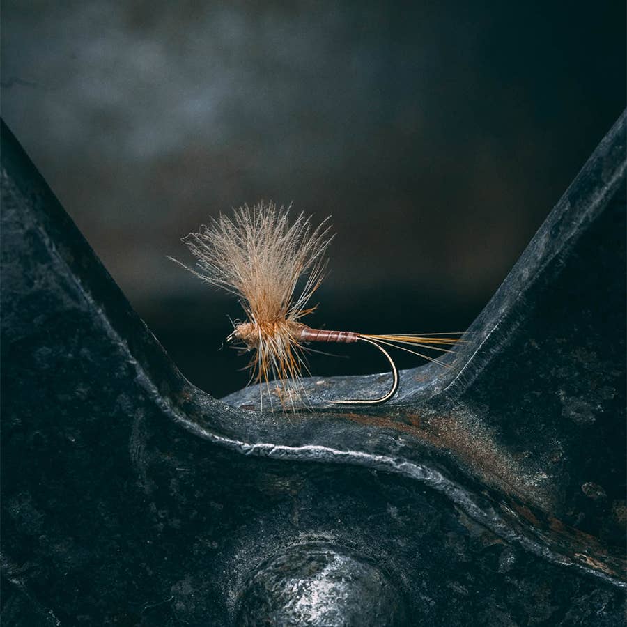 Rene Harrop's March Brown CDC Thorax