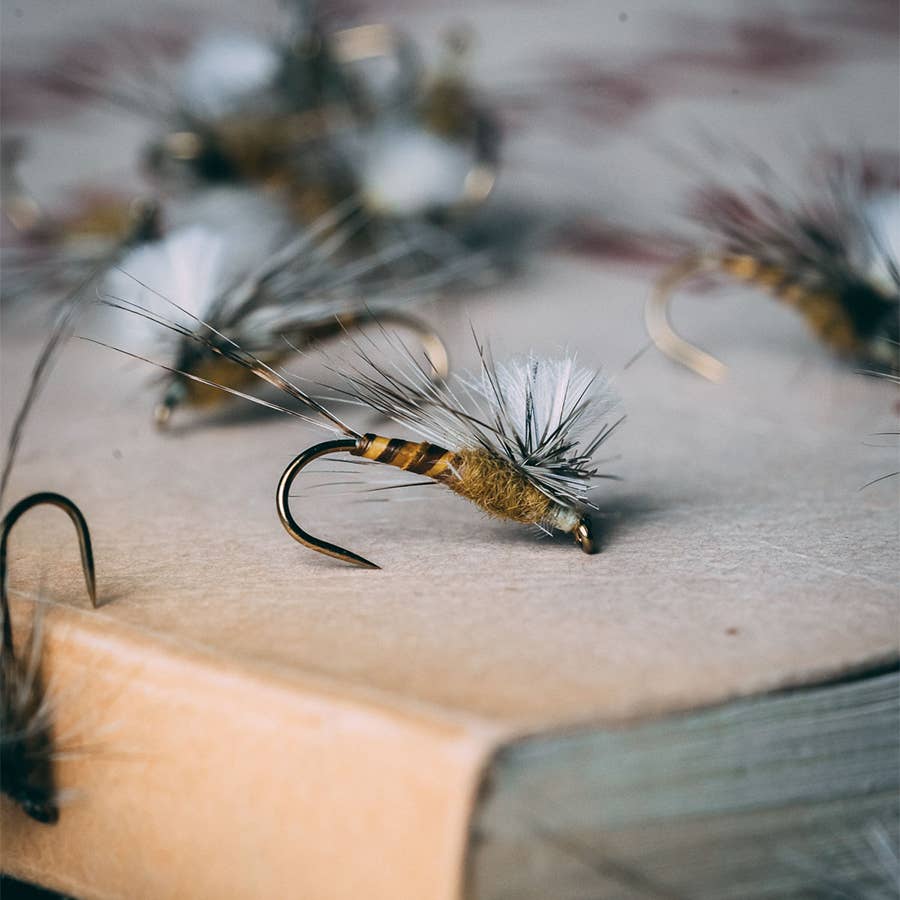 Rene Harrop's CDC Para Spinner - BWO