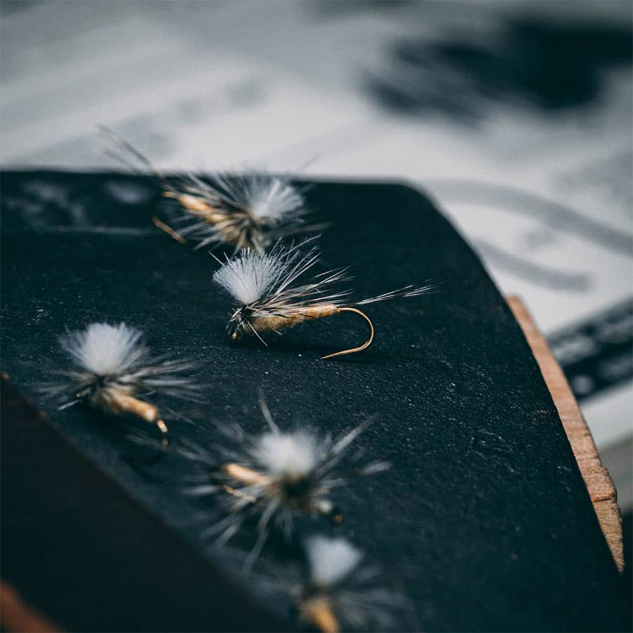 Rene Harrop's CDC Para Spinner - PMD