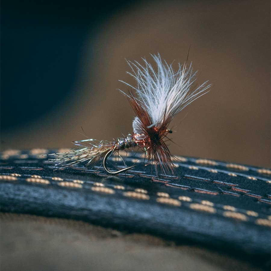 Rene Harrop's D&D Cripple - Mahogany