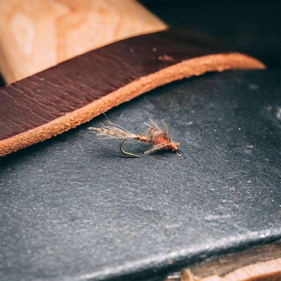 Rene Harrop's Captive Dun - Mahogany