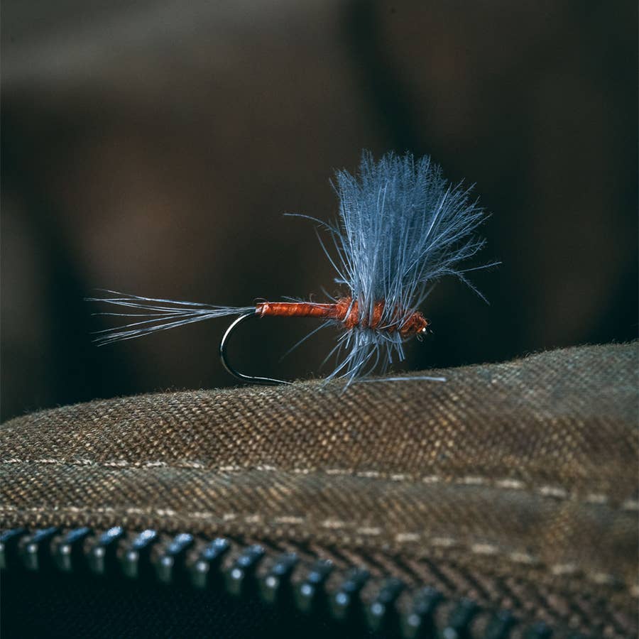 Rene Harrop's Red Quill CDC Thorax
