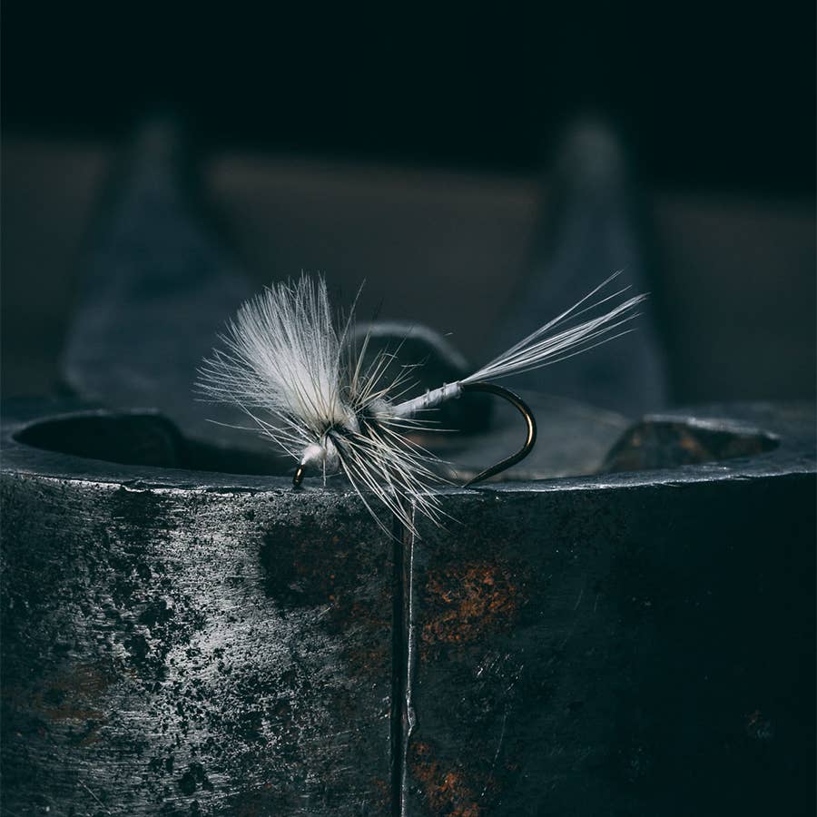 Rene Harrop's White Fly CDC Thorax