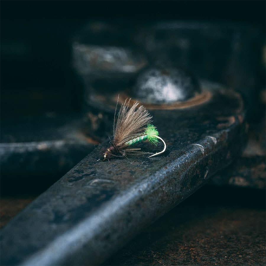 Rene Harrop's Fertile Caddis