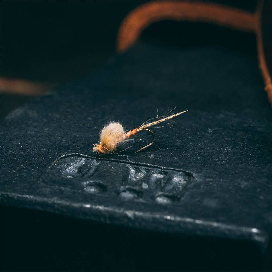 Rene Harrop's Captive Dun - Sulphur