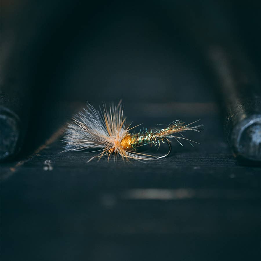 Rene Harrop's D&D Cripple - Sulphur