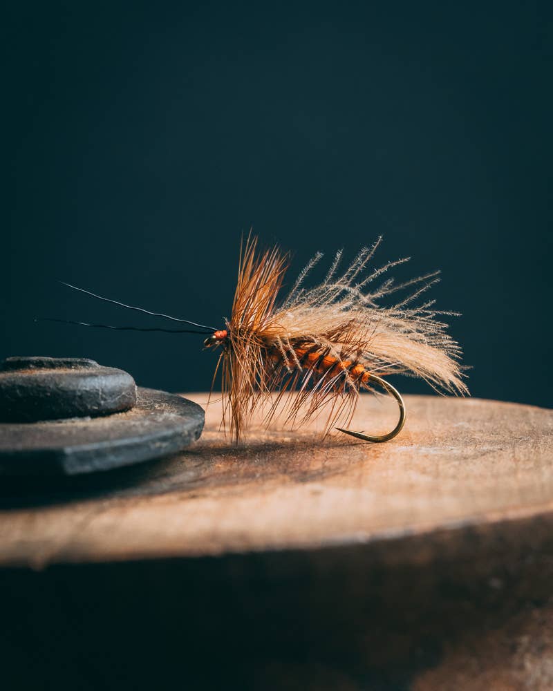 Rene Harrop's CDC Salmon Fly Adult