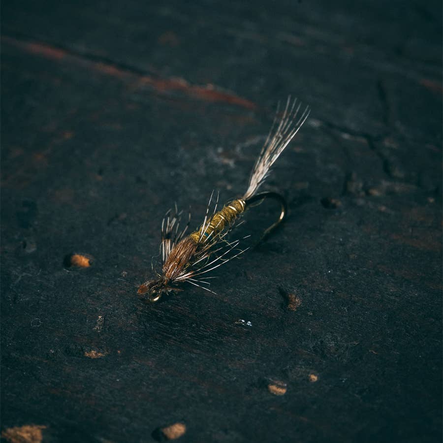 Rene Harrop's Mayfly Nymph - PMD