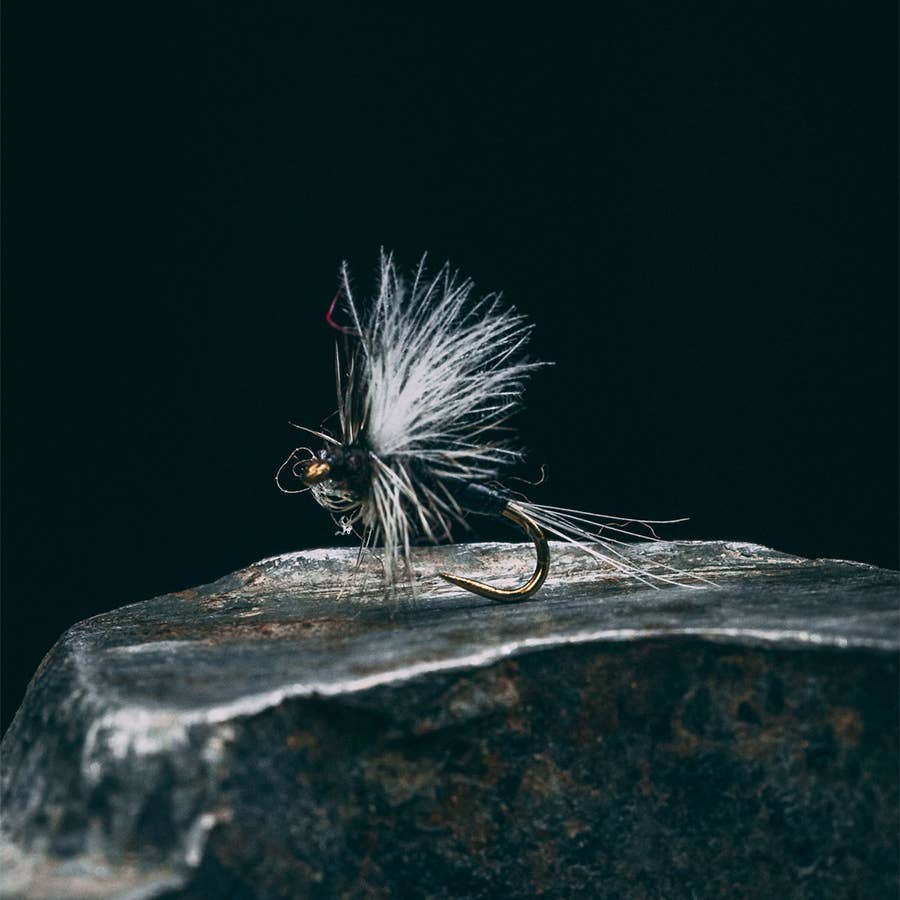 Rene Harrop's Trico CDC Thorax