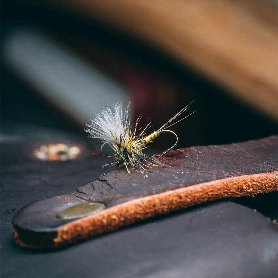 Rene Harrop's PMD CDC Thorax