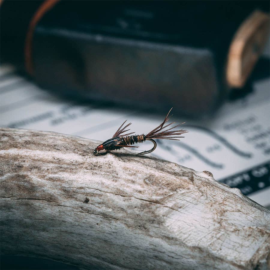 Rene Harrop's TT Nymph