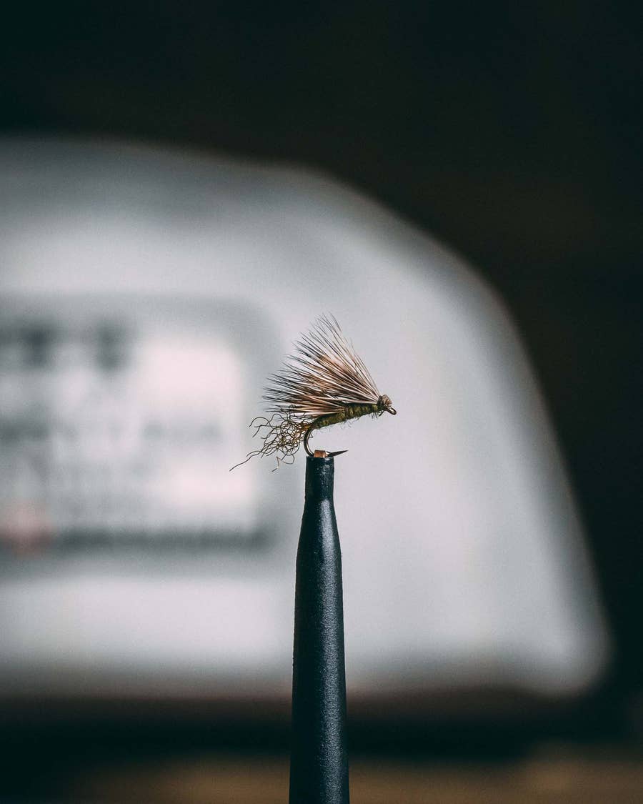 Kelly Galloup's Double Wing Caddis
