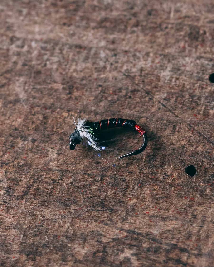 Phil Rowley's Red Butt Buzzer