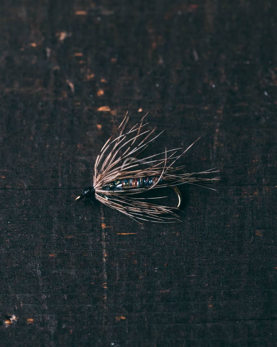 Phil Rowley's Rainbow Emerger - #12