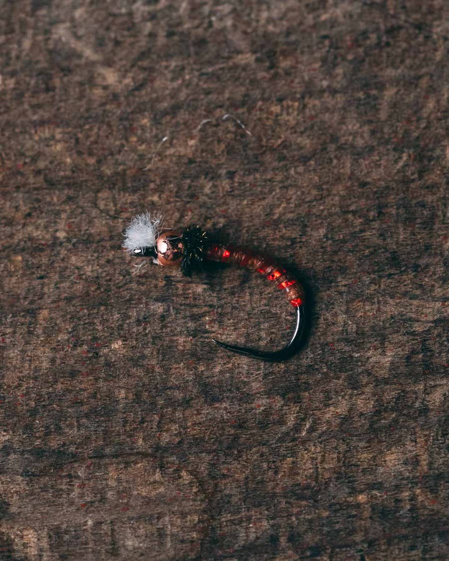 Phil Rowley's Summer N Red - #12