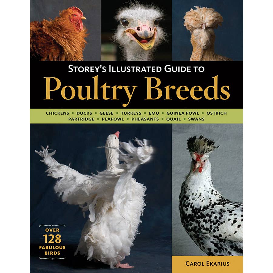 Storey's Illustrated Guide to Poultry Breeds