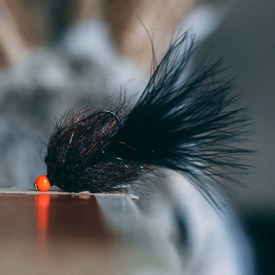 Fly Project Twelve O'Clock Shadow Leech