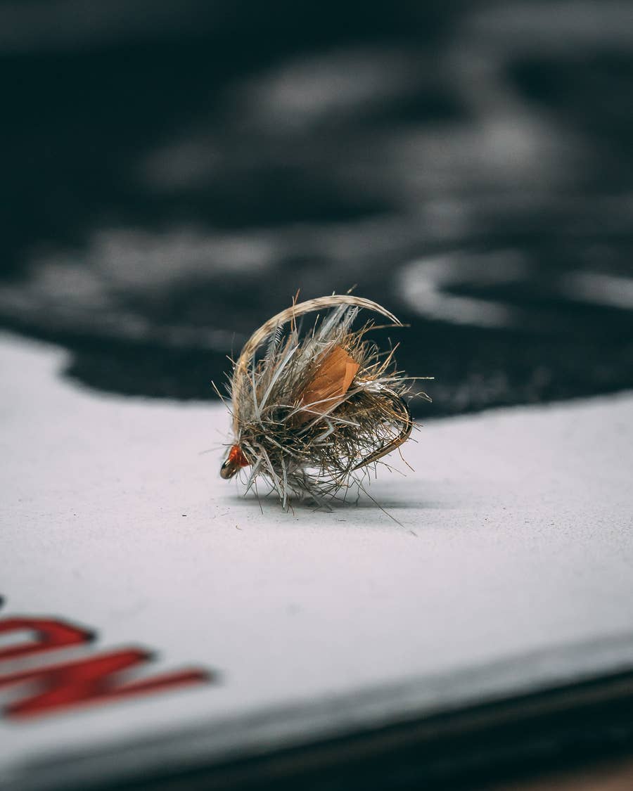 Umpqua Translucent Caddis Pupa