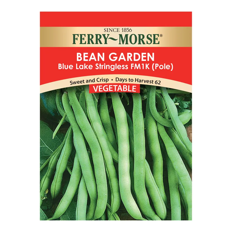 Ferry-Morse Bean - Blue Lake Stringless Pole