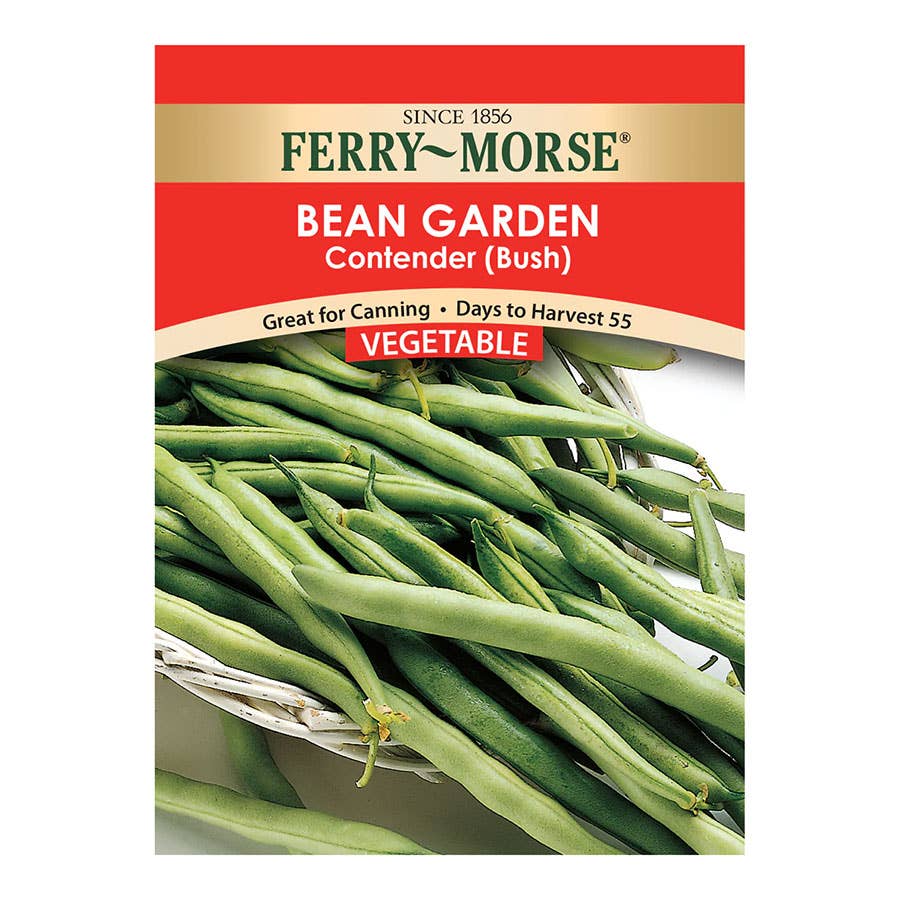 Ferry-Morse Bean - Contender