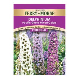 Ferry-Morse Delphinium - Pacific Giants MC