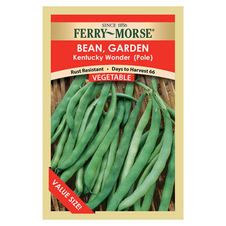 Ferry-Morse Bean - Kentucky Wonder Pole
