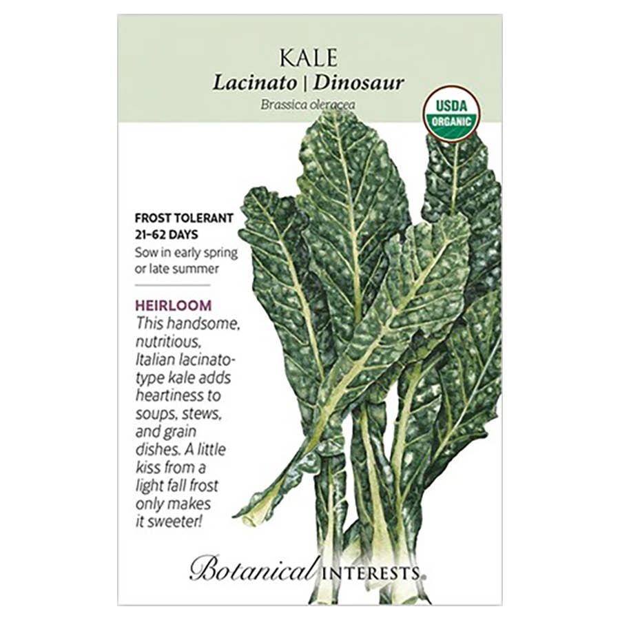 Botanical Interests Lacinato Dinosaur Kale Seeds