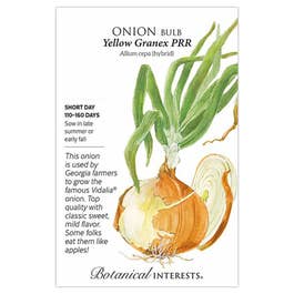 Botanical Interests Onion Bulb Yellow Granex Hybrid (SD) Seeds