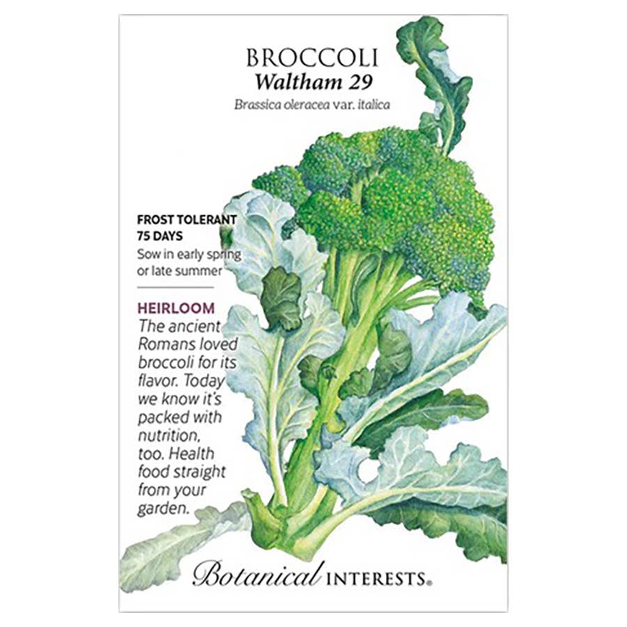 Botanical Interests Broccoli (Classic) Waltham 29 Seeds