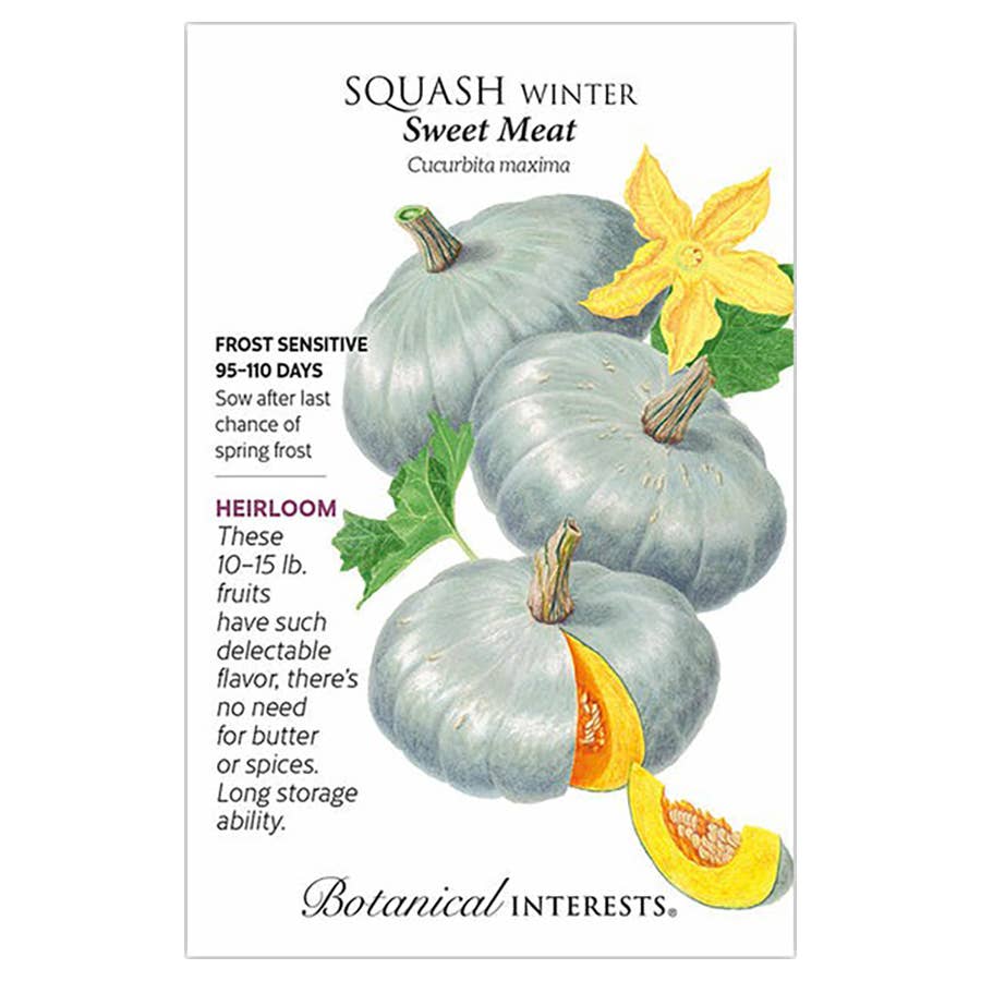 Botanical Interests Squash Winter Sweet Meat Seeds