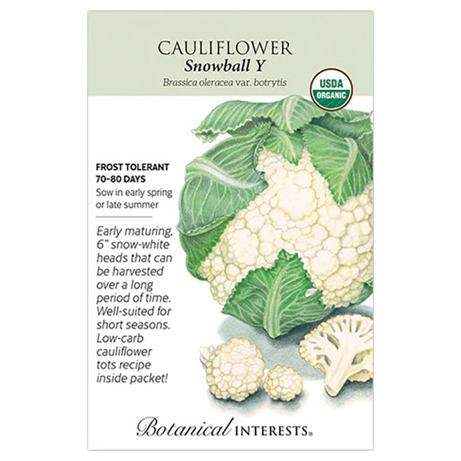 Botanical Interests Cauliflower Snowball Y Organic Seeds