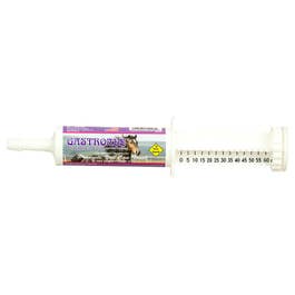 Cox Veterinary Lab Gastroade Calcium GI Support Paste