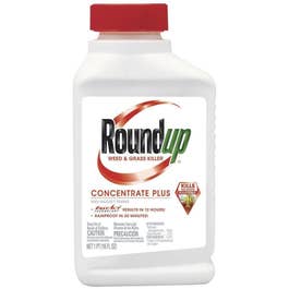 Roundup Plus Concentrate