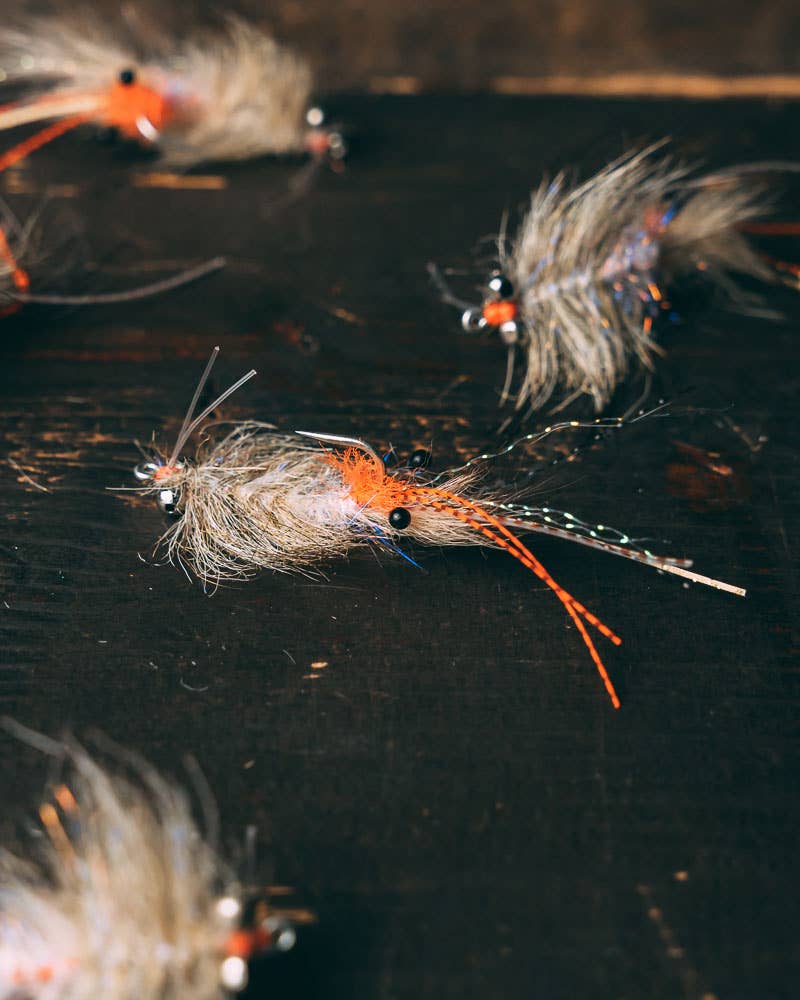 Enrico Puglisi Coyote Spawning Shrimp - Bead Chain